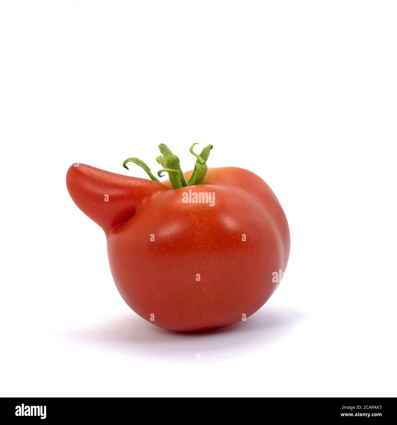Abnormal tomato Cut Out Stock Images & Pictures - Alamy