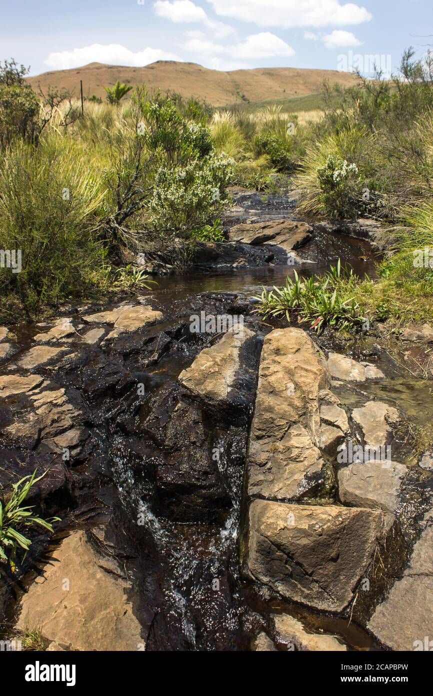 Breakfast Stream, a small mountain Stream, flowing through the Central ...