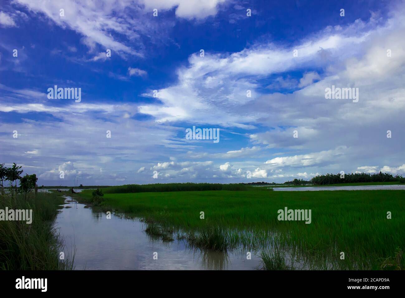 Sunny day bangladesh hi-res stock photography and images - Alamy