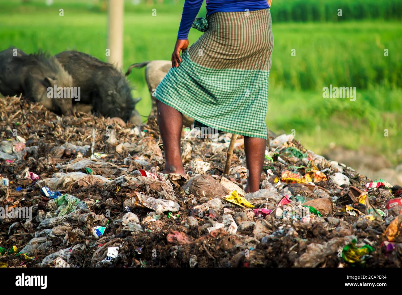 Dump with plastic bags, garbage and waste. Nature contamination and ...