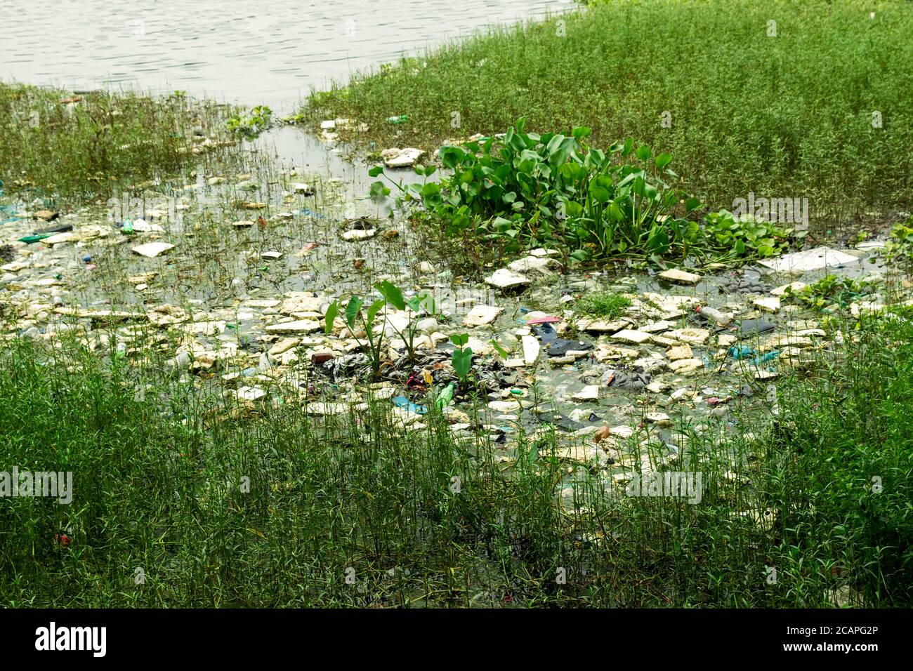 Garbage on the river shore Stock Photo - Alamy