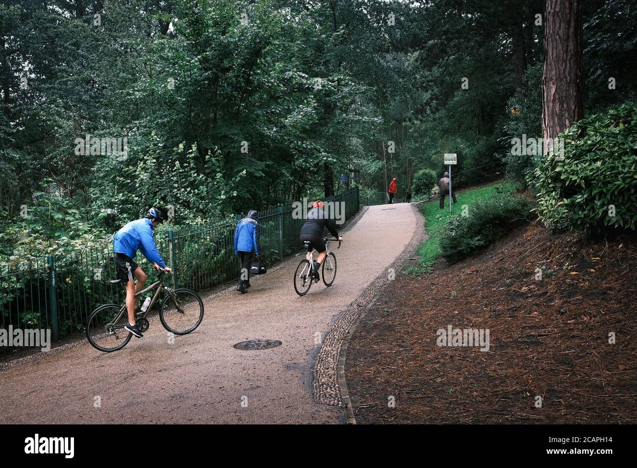 Guild wheel hi-res stock photography and images - Alamy