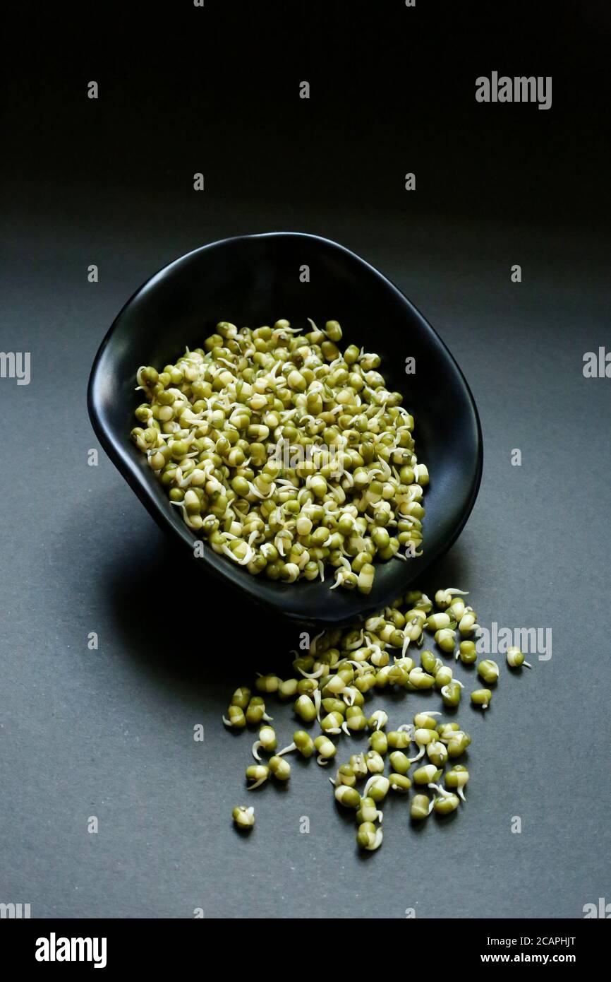 Mung beans in dish isolate on black background Stock Photo - Alamy
