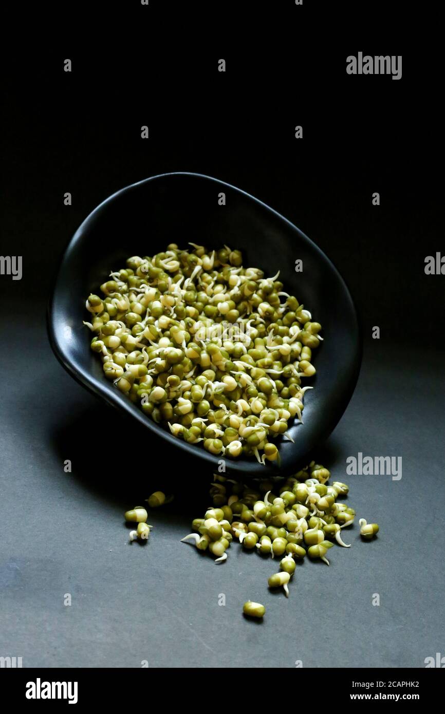 Mung beans in dish isolate on black background Stock Photo - Alamy