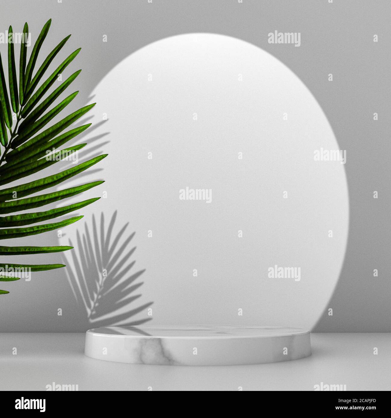 Abstract circular stage layout with a palm branch and its shadow ...