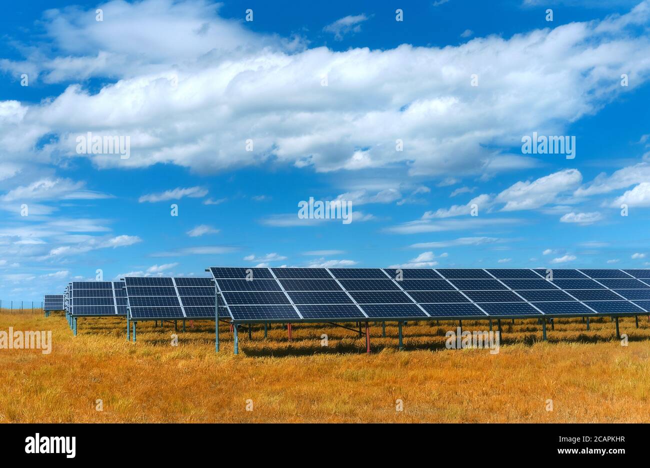 Solar power plant, blue solar panels on Autumn orange grass field under ...
