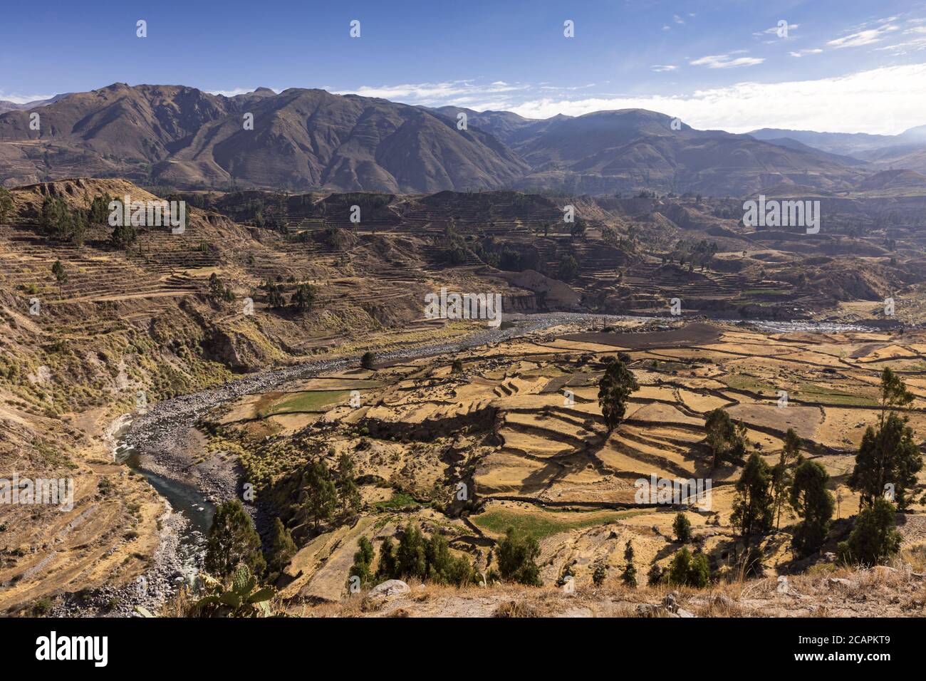 Panoramic view of Colca Canyon, near Chivay, in Peru Stock Photo - Alamy