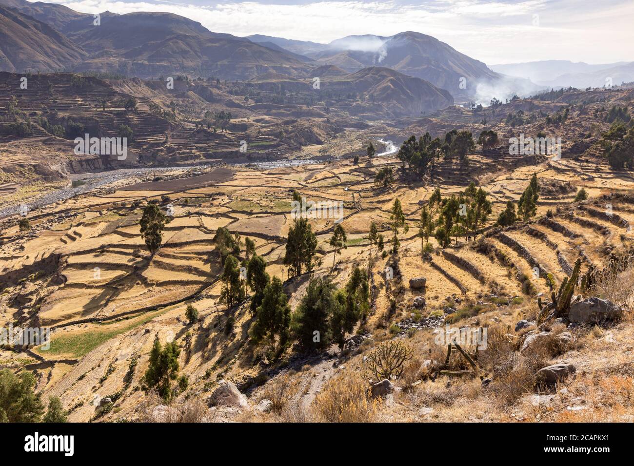 Panoramic view of Colca Canyon, near Chivay, in Peru Stock Photo - Alamy