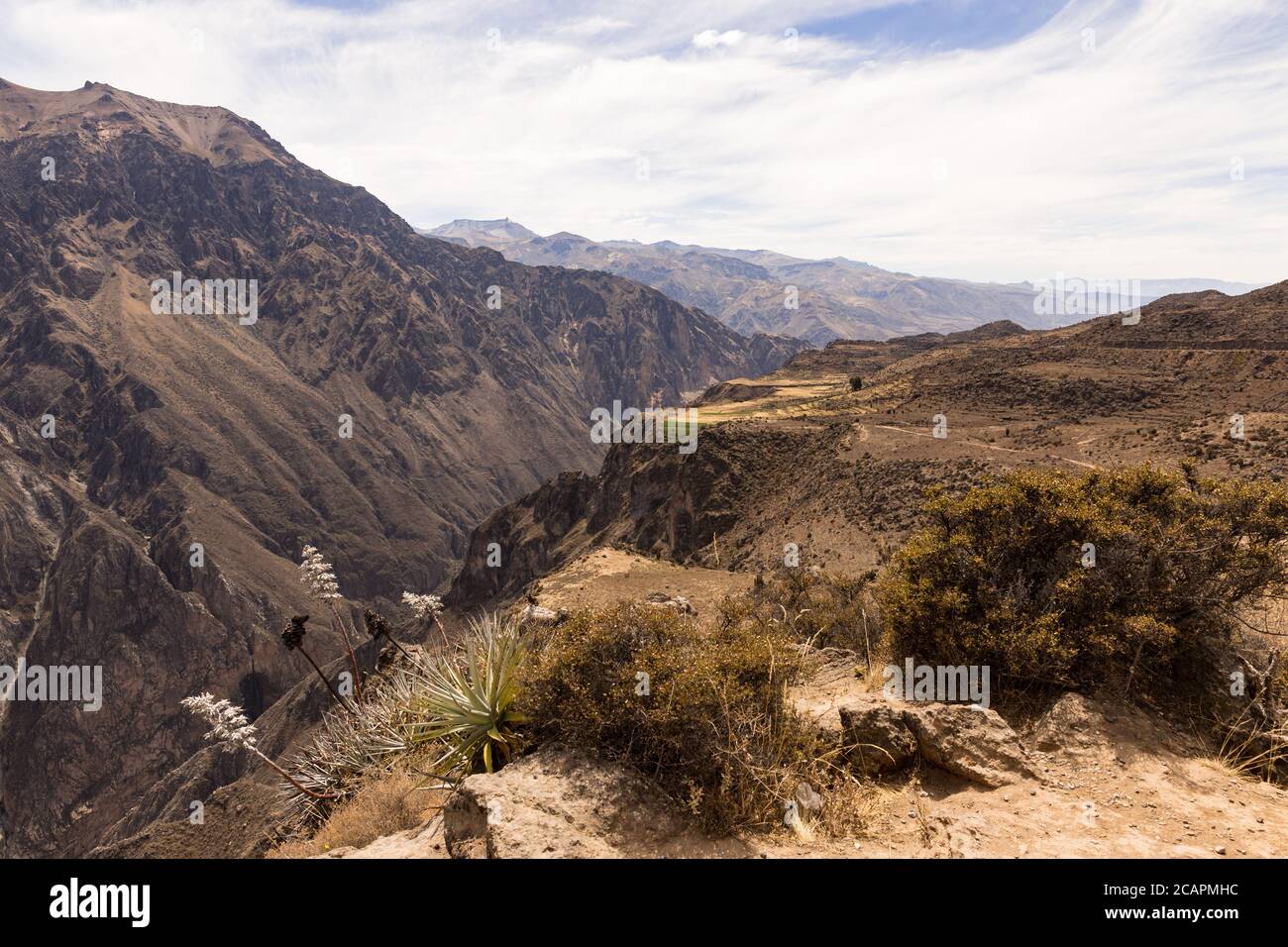 Panoramic view of Colca Canyon, near Chivay, in Peru Stock Photo - Alamy