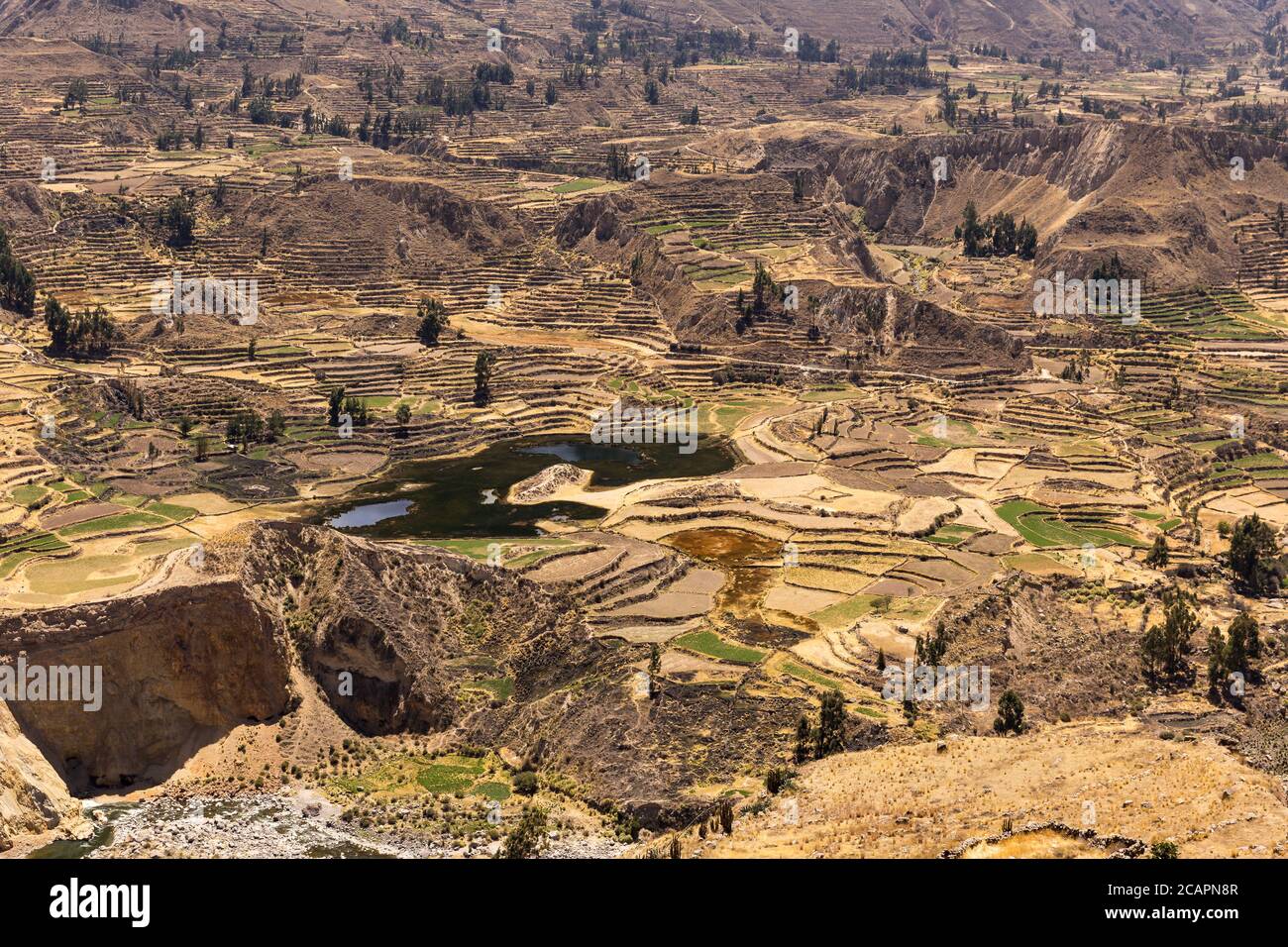 Panoramic view of Colca Canyon, near Chivay, in Peru Stock Photo - Alamy