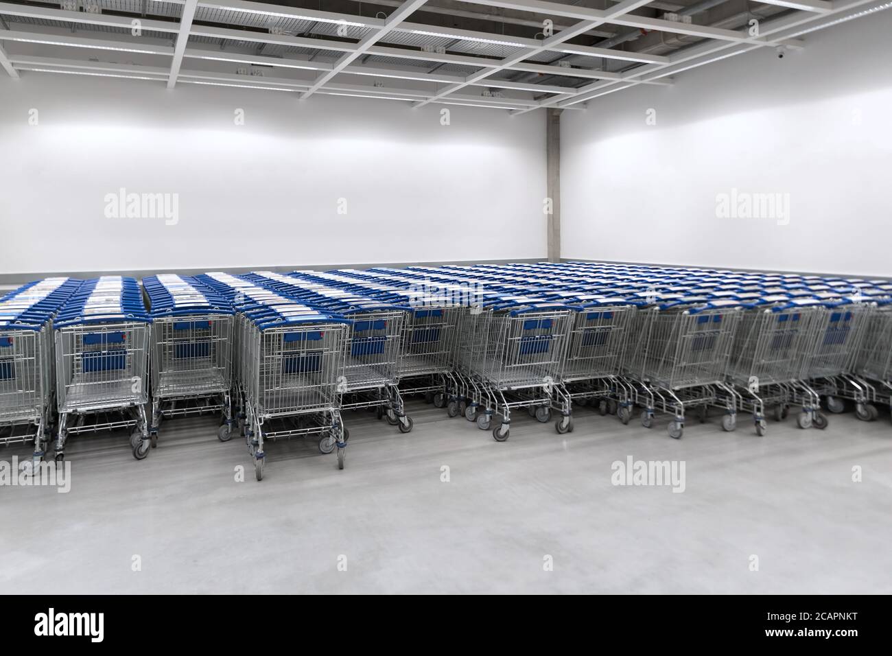 group of shopping carts in supermarket Stock Photo - Alamy