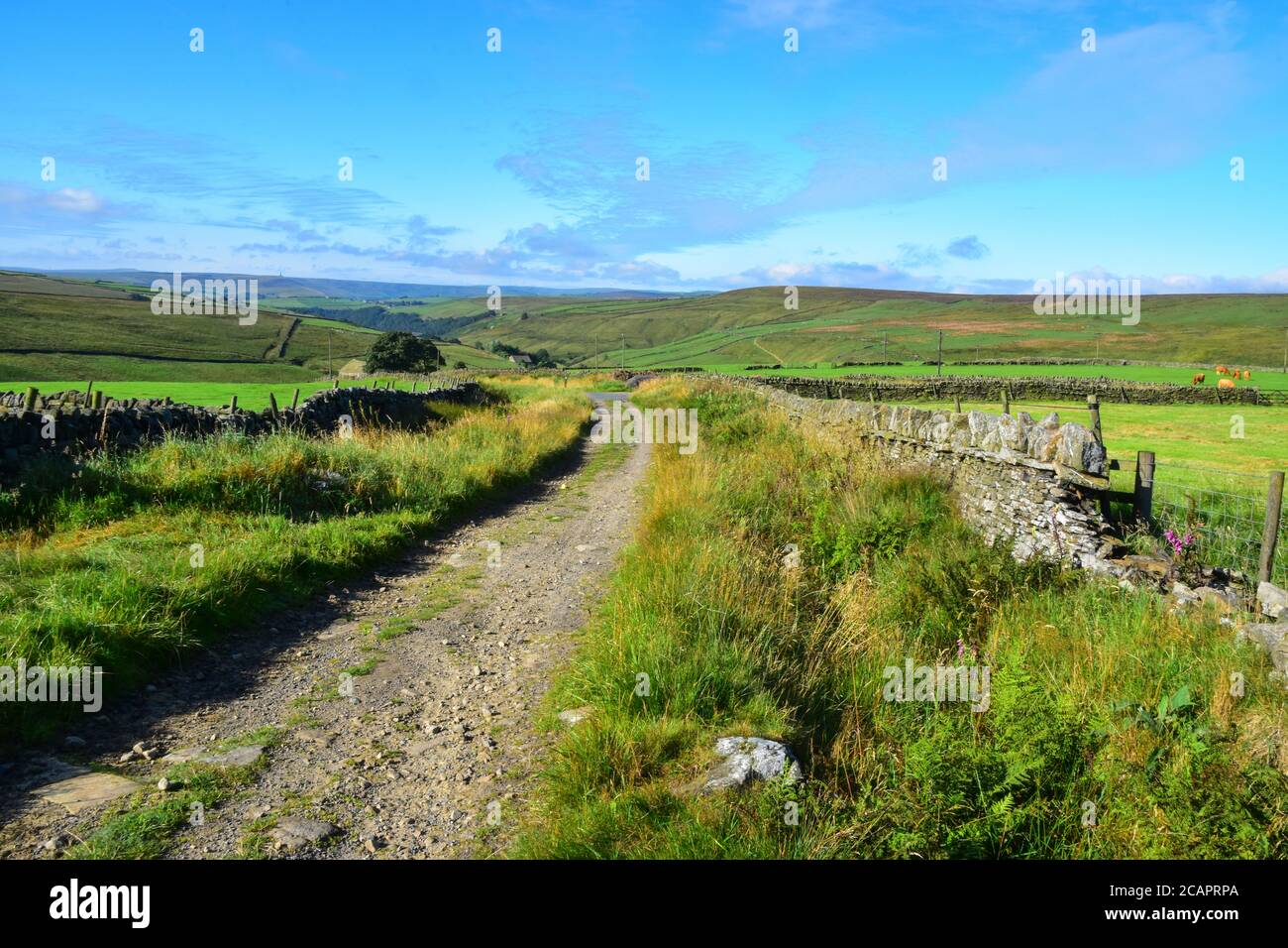 Old Haworth Road, Bronte Country. Pennines, West Yorkshire Stock Photo ... Old Haworth Road, Bronte Country. Pennines, West Yorkshire Stock Photo ...