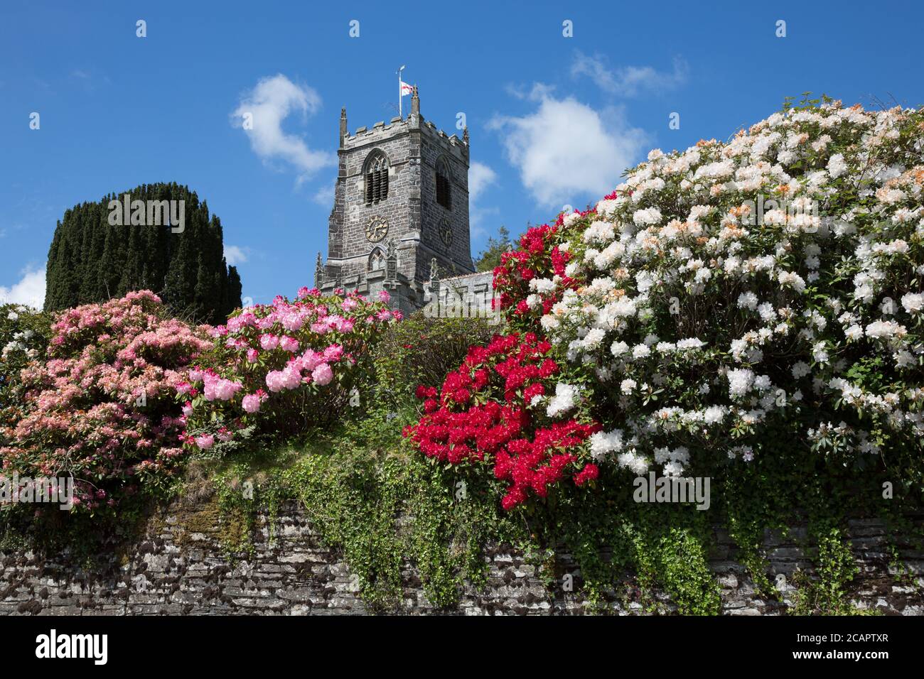 St neot, cornwall hi-res stock photography and images - Alamy