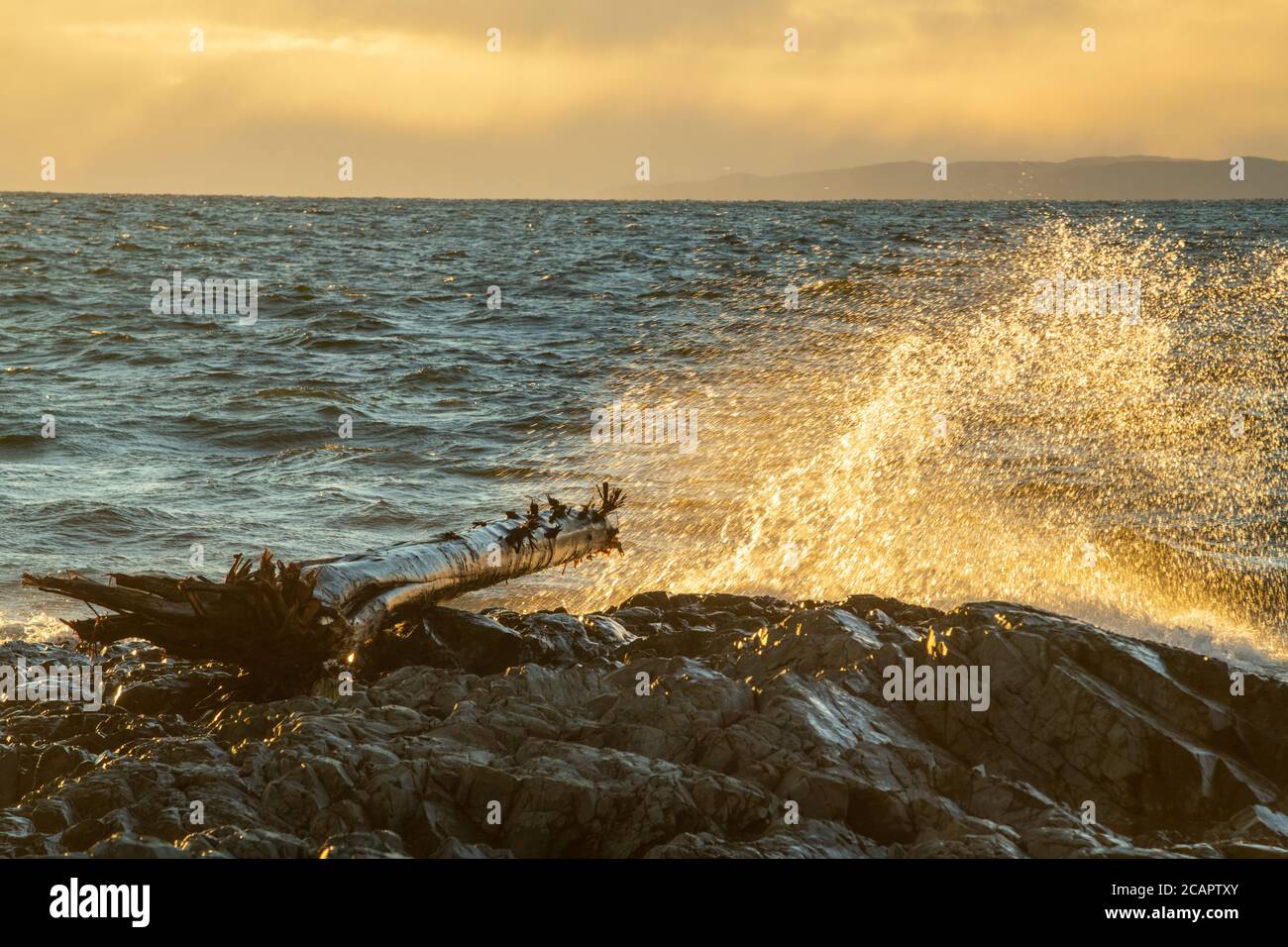 Windblown lake superior hi-res stock photography and images - Alamy