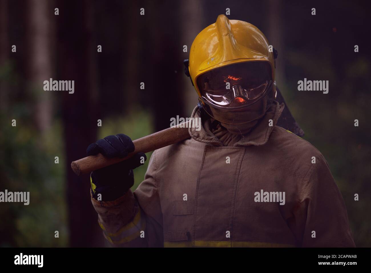 firefighter portrait on authentic fire location in forest Stock Photo ...