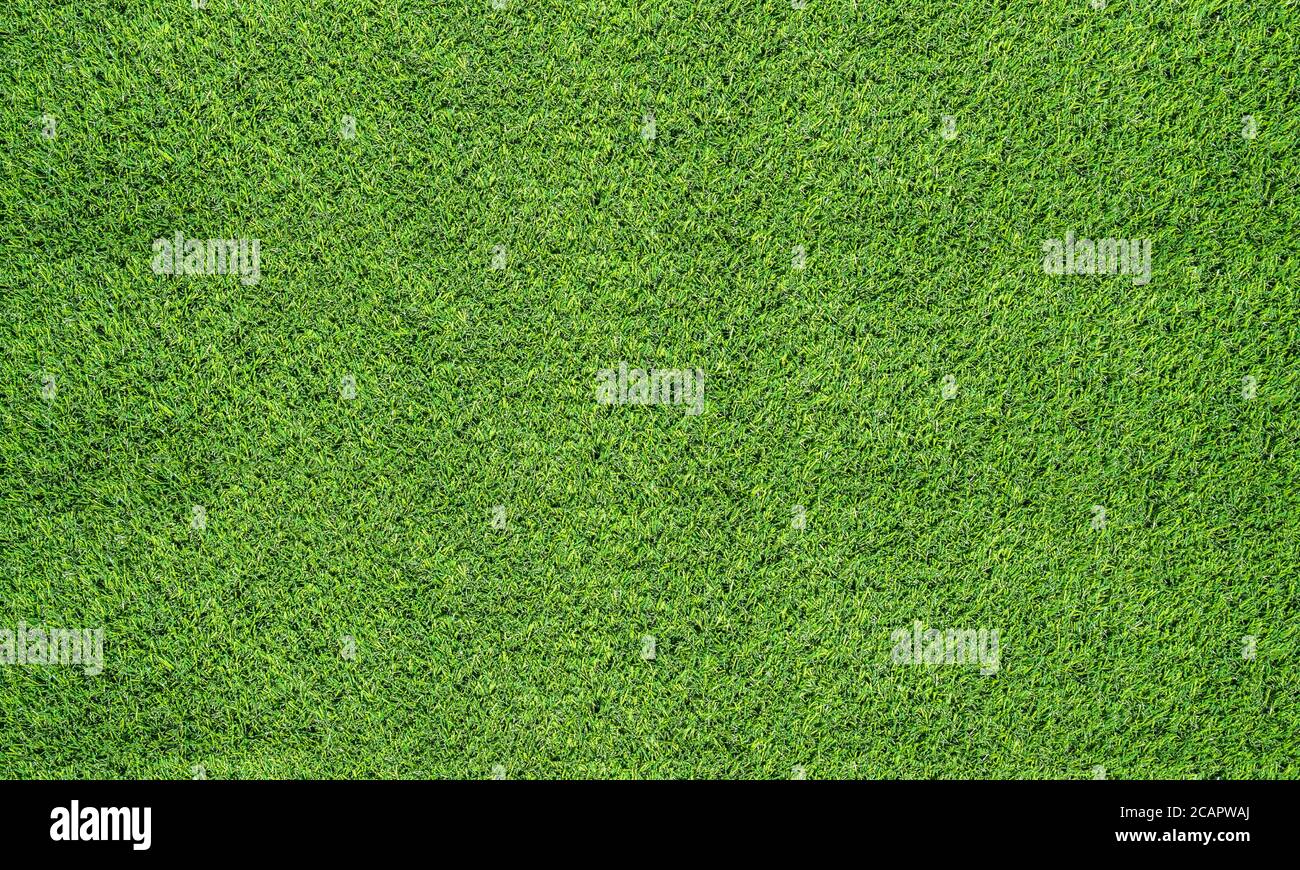 Beautiful grass field spring hi-res stock photography and images - Alamy