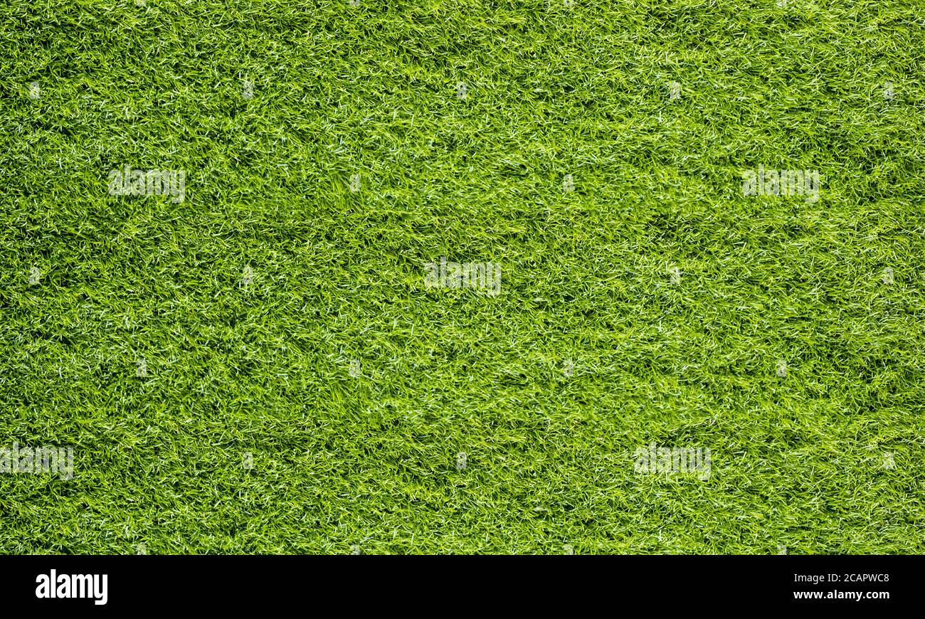 Texture fresh spring grass field Photo background Stock Photo - Alamy