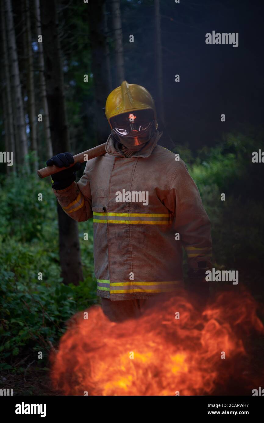 firefighter portrait on authentic fire location in forest Stock Photo ...