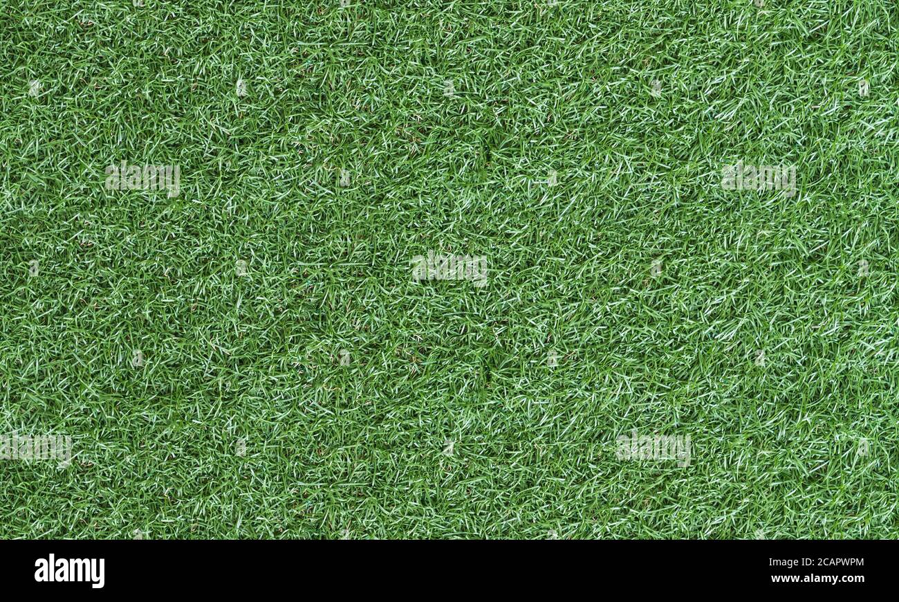 Texture fresh spring grass field Photo background Stock Photo - Alamy