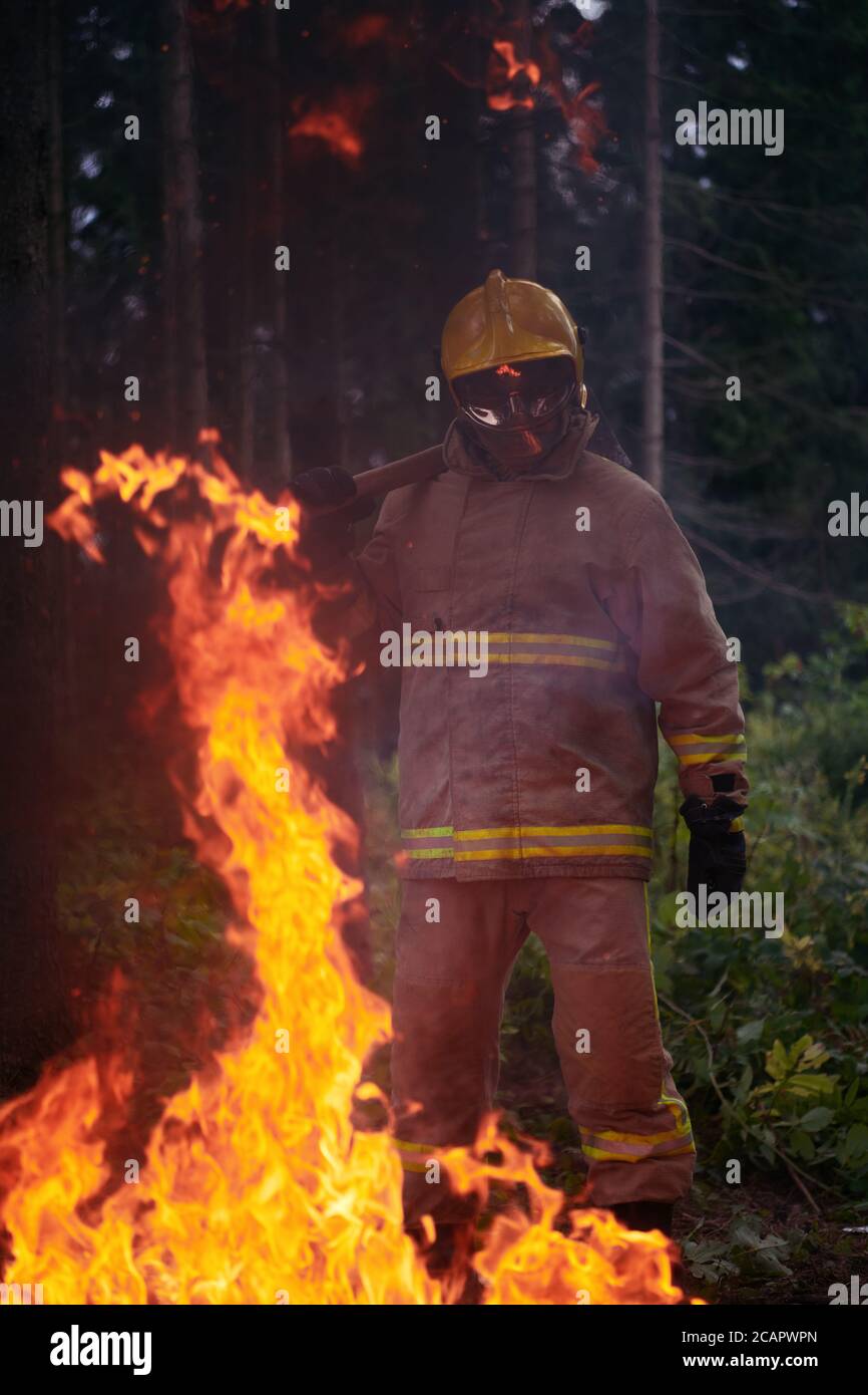 firefighter portrait on authentic fire location in forest Stock Photo ...