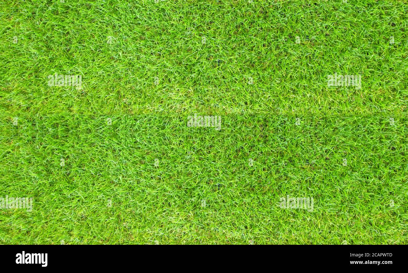 Texture of the grass hi-res stock photography and images - Alamy