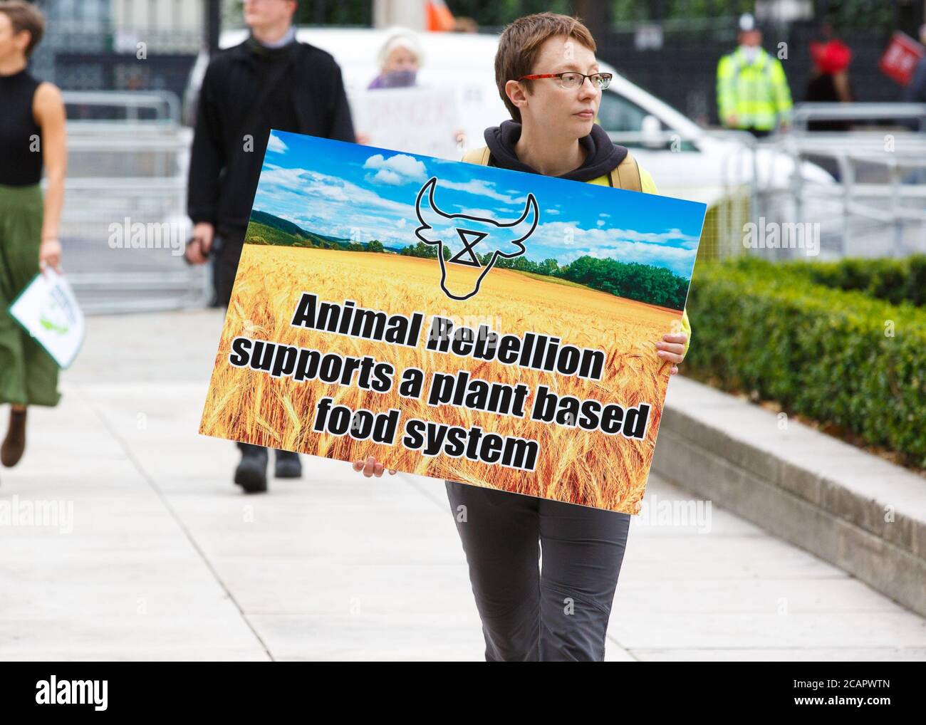 ‘Save British Farming’ protest drive a convoy of tractors to Parliament ...