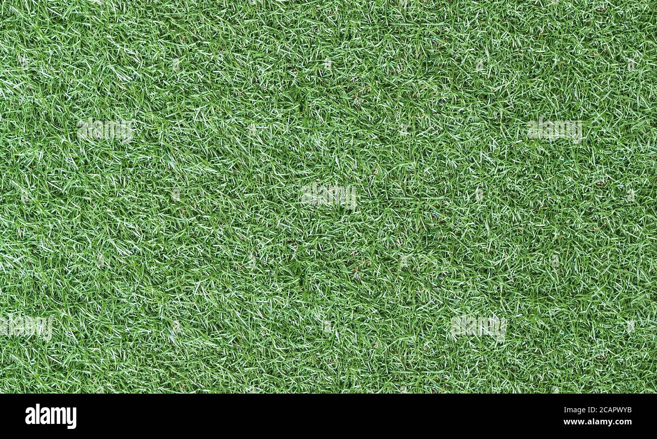 Texture fresh spring grass field Photo background Stock Photo - Alamy