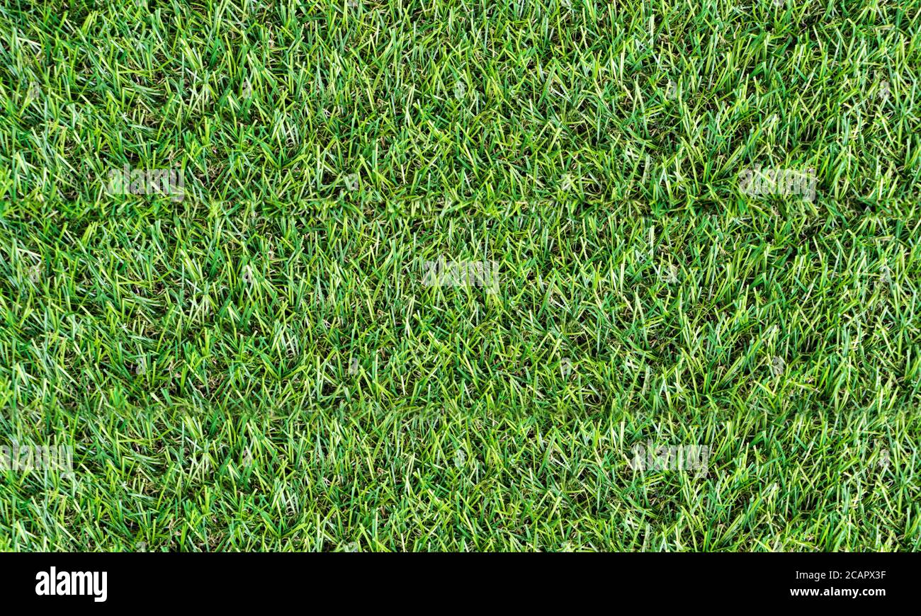 Texture fresh spring grass field Photo background Stock Photo - Alamy