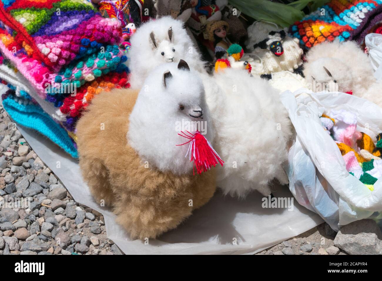 Alpaca in sanctuary hi-res stock photography and images - Alamy