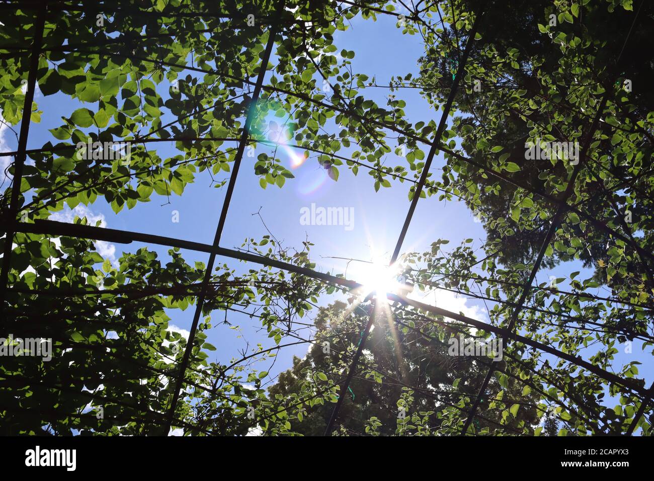 Hello sun hi-res stock photography and images - Alamy