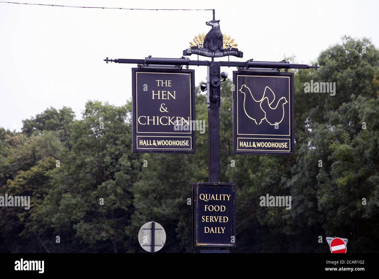 Hen and chicken alton hi-res stock photography and images - Alamy