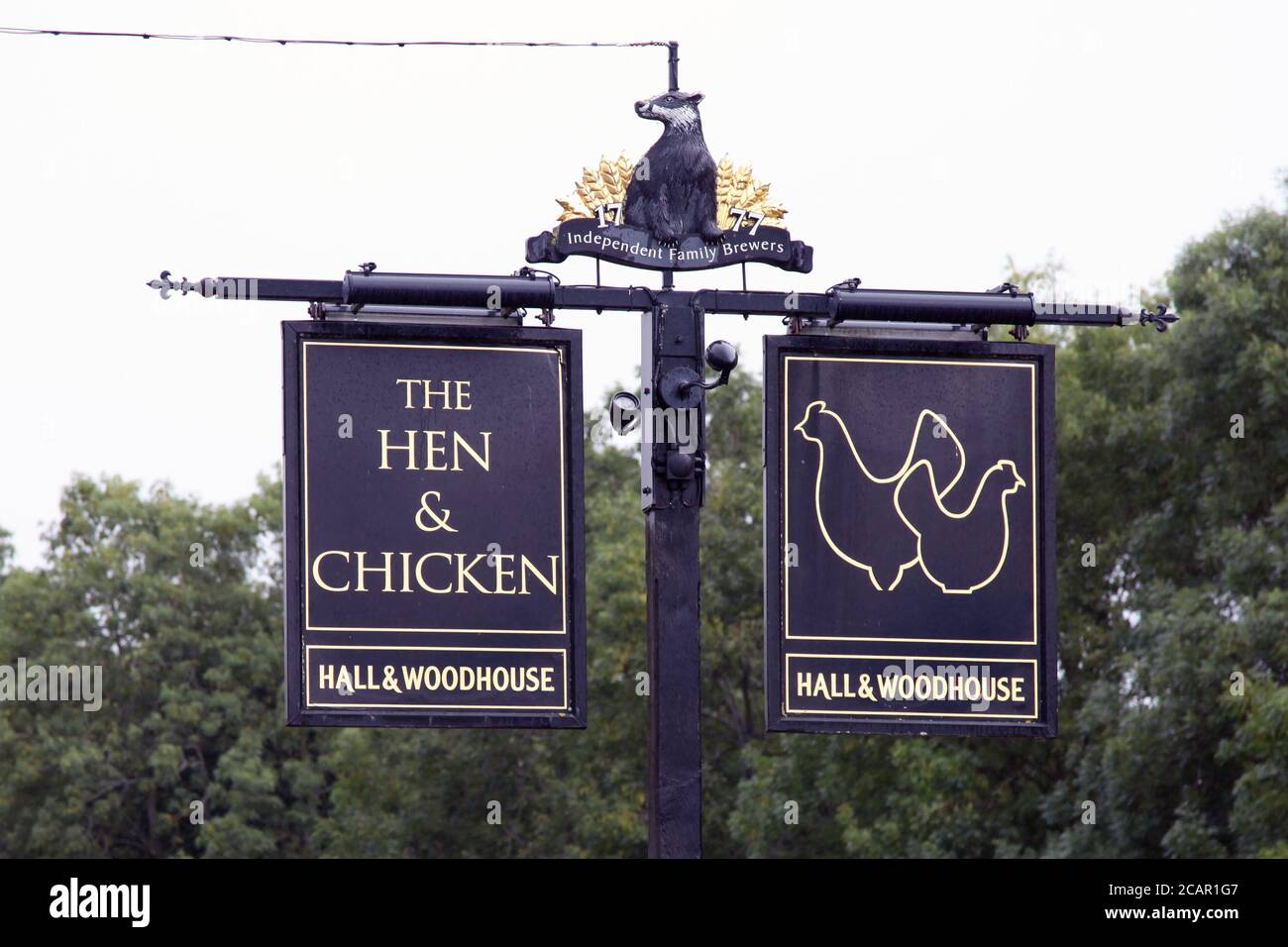 Hen and chicken alton hi-res stock photography and images - Alamy