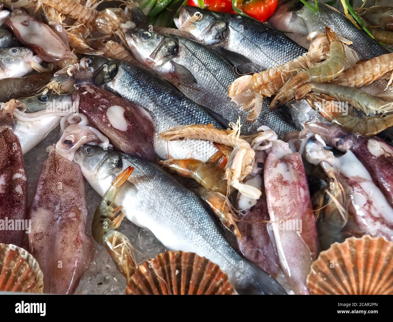 Seafish hi-res stock photography and images - Alamy