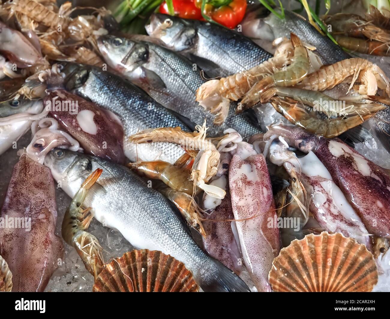 Octopus slate background hi-res stock photography and images - Alamy