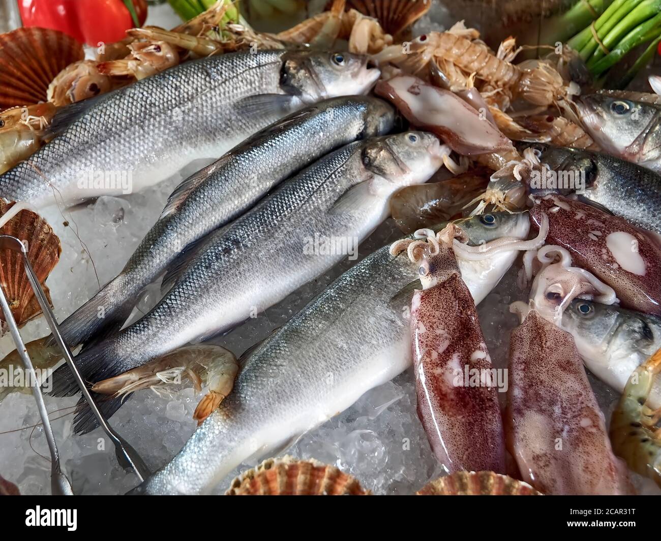Fish octopus hi-res stock photography and images - Alamy