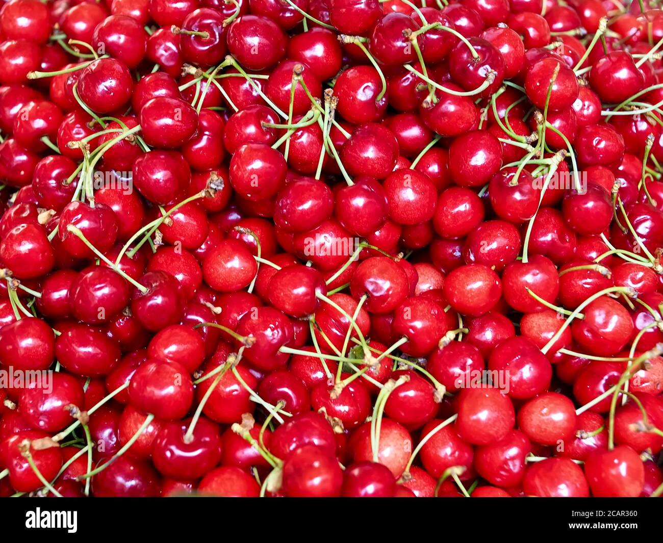 Lot of red sweet cherries Stock Photo - Alamy