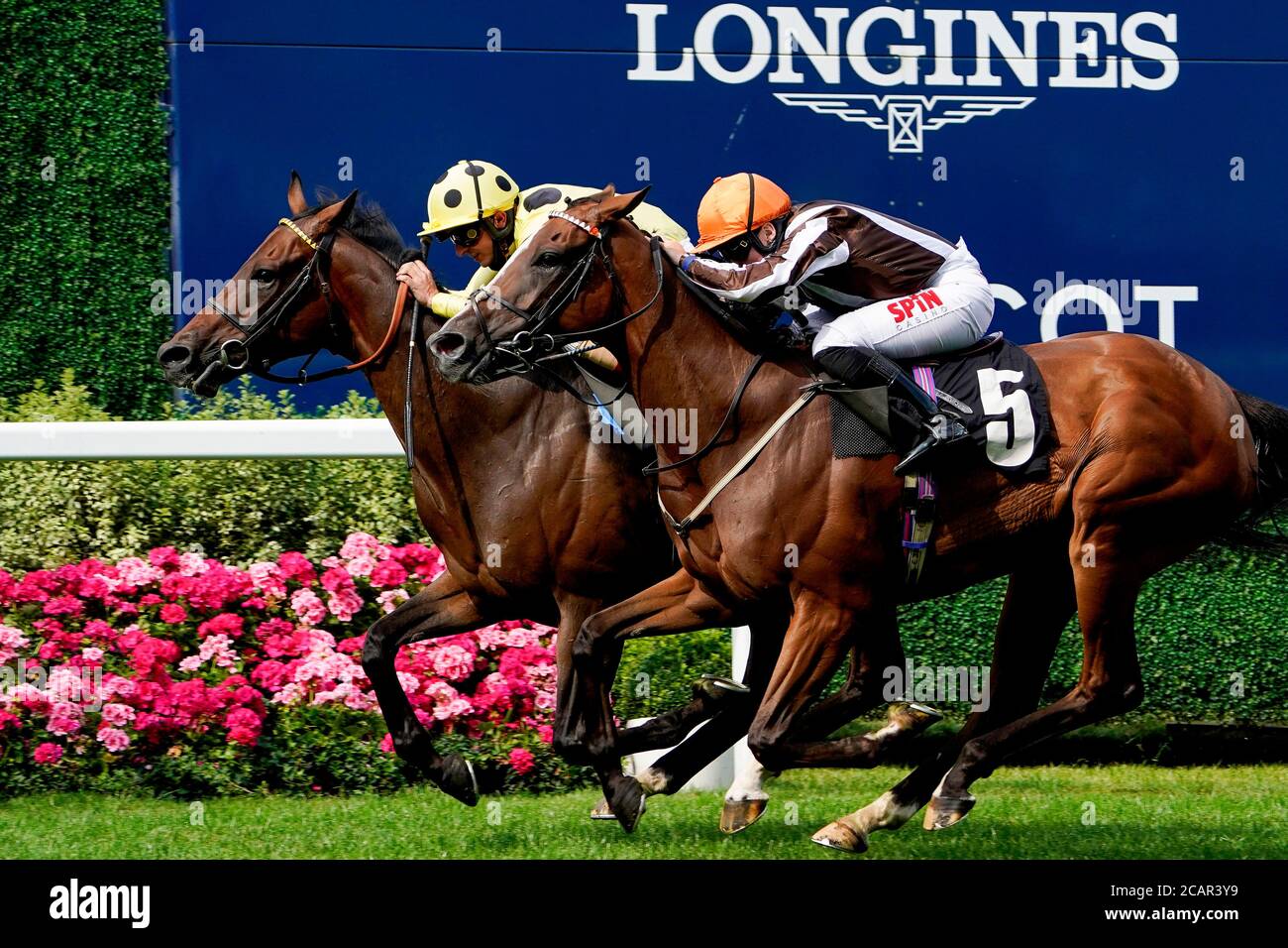 Wins thames hospice handicap ascot racecourse hi-res stock photography ...