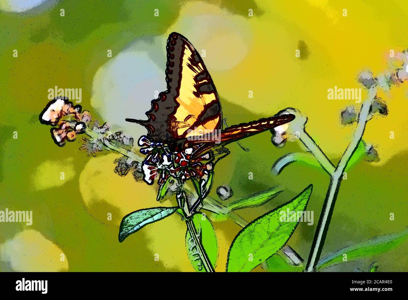 illustration of a yellow swallowtail butterfly Stock Photo - Alamy