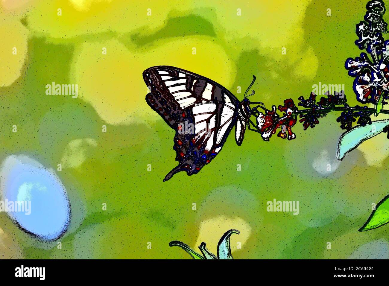 illustration of a yellow swallowtail butterfly Stock Photo - Alamy