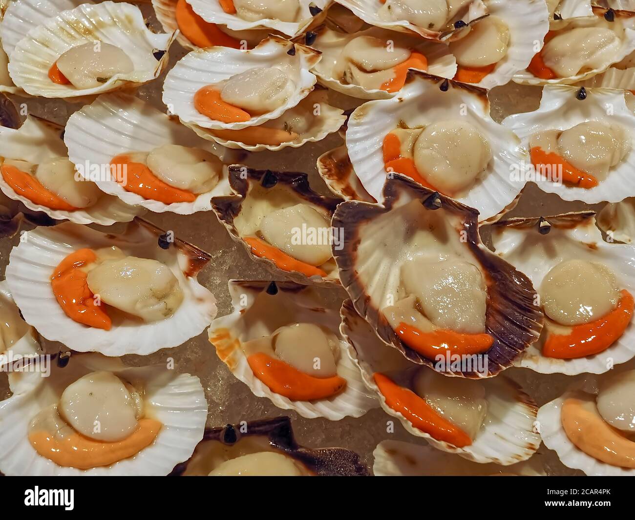 Pile of canestrello shellfish at a gourmet food market Stock Photo - Alamy