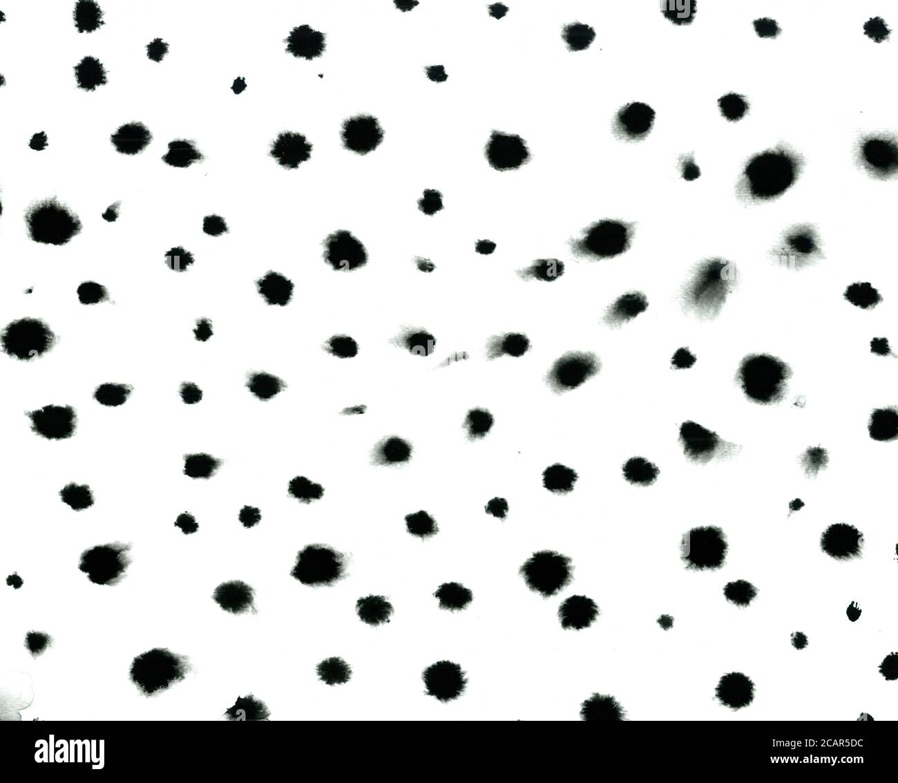 Handmade painting. Black spotted watercolor abstract on paper ...