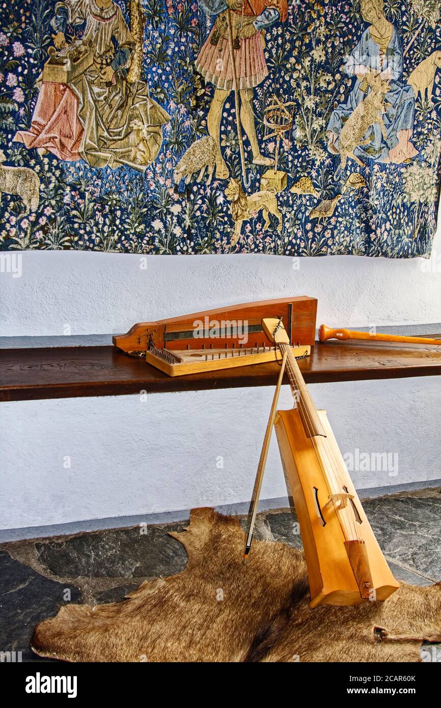 old musical instruments; strings, bow, tapestry, antiques, animal skin ...