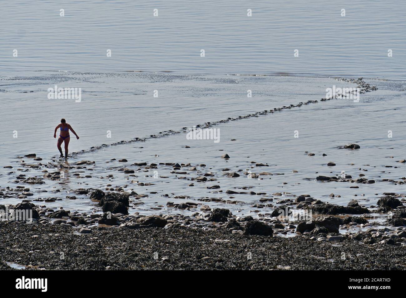 Plodding through thick mud hi-res stock photography and images - Alamy