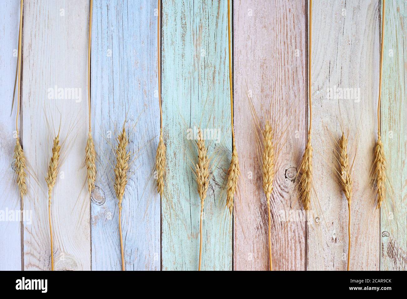 yellow spikes on the background of the fence look in different ...