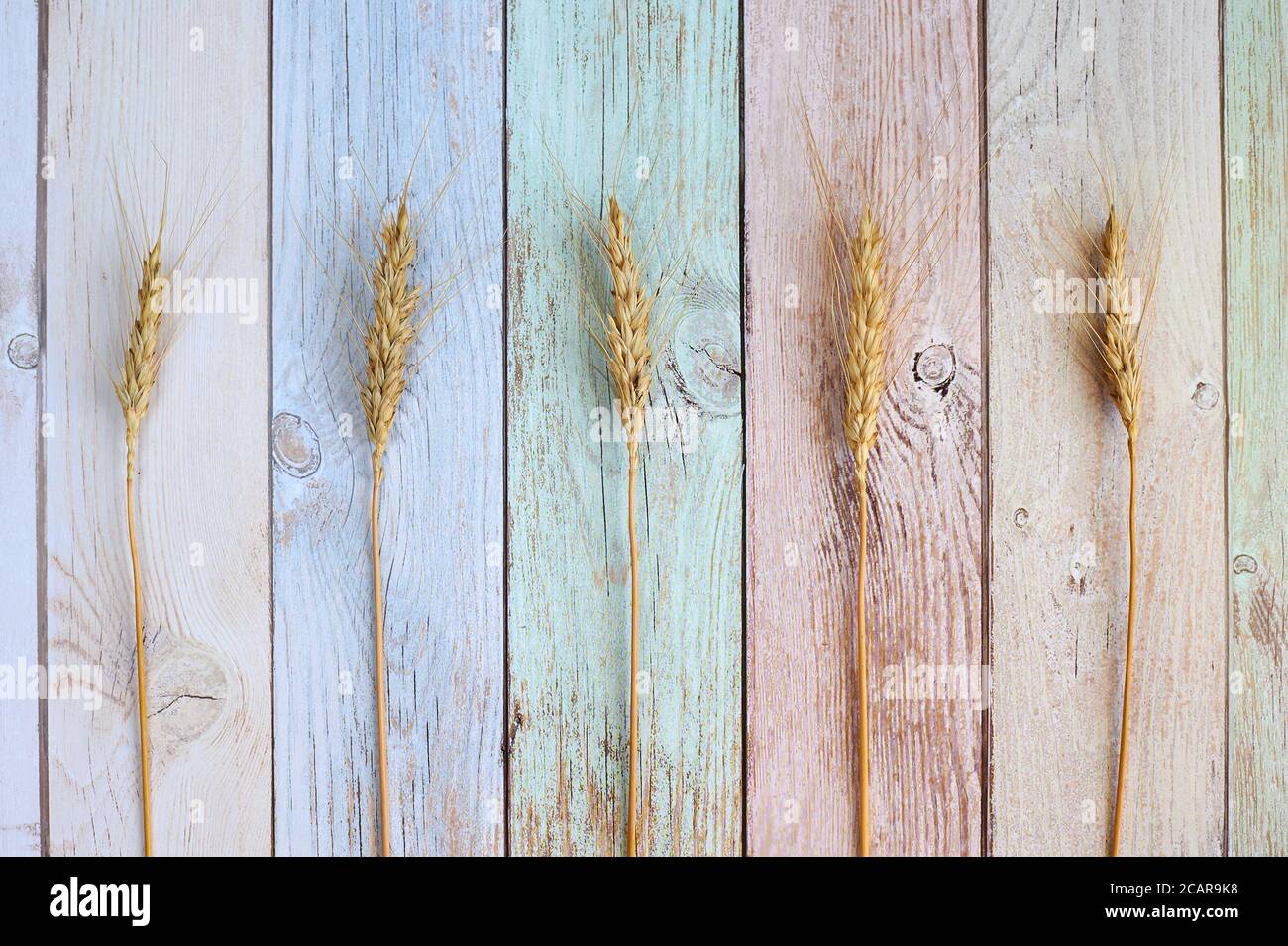 yellow spikes on the background of the fence look in different ...