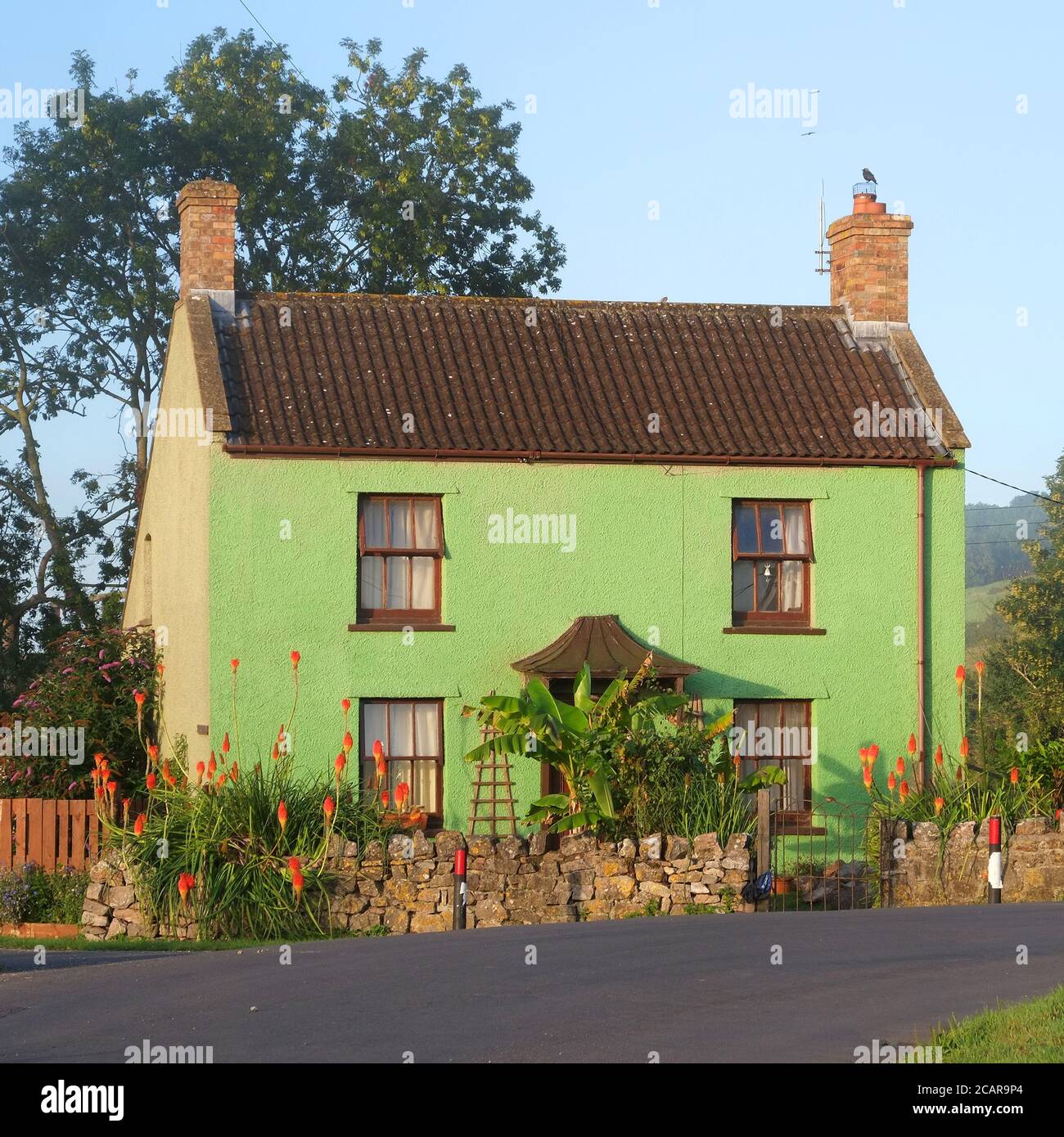 August 2020 - Somerset colourful green cottage Stock Photo - Alamy