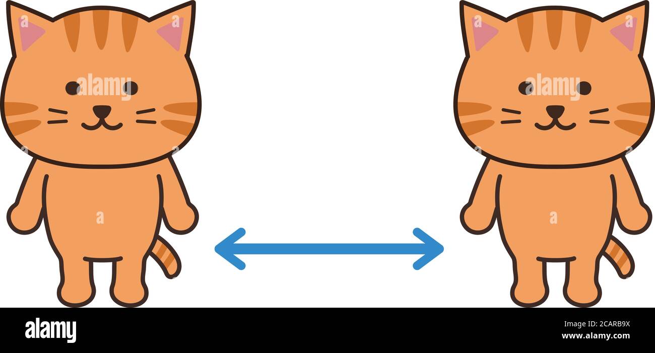 Cat character maintain social distancing to prevent from virus ...