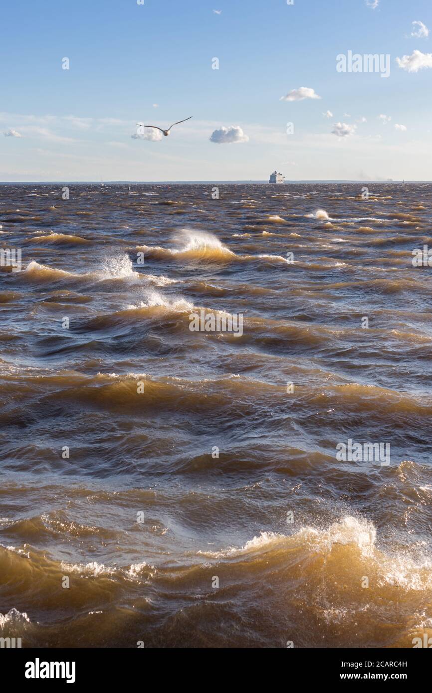 Sea in sunny windy day. Blue sky, seagull and passenger ship on ...