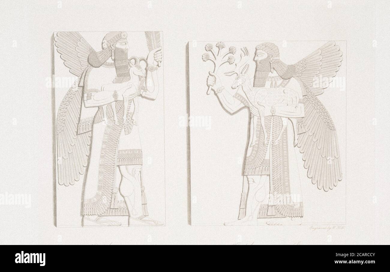 vintage animal illustration vintage classical artistic drawing Stock ...