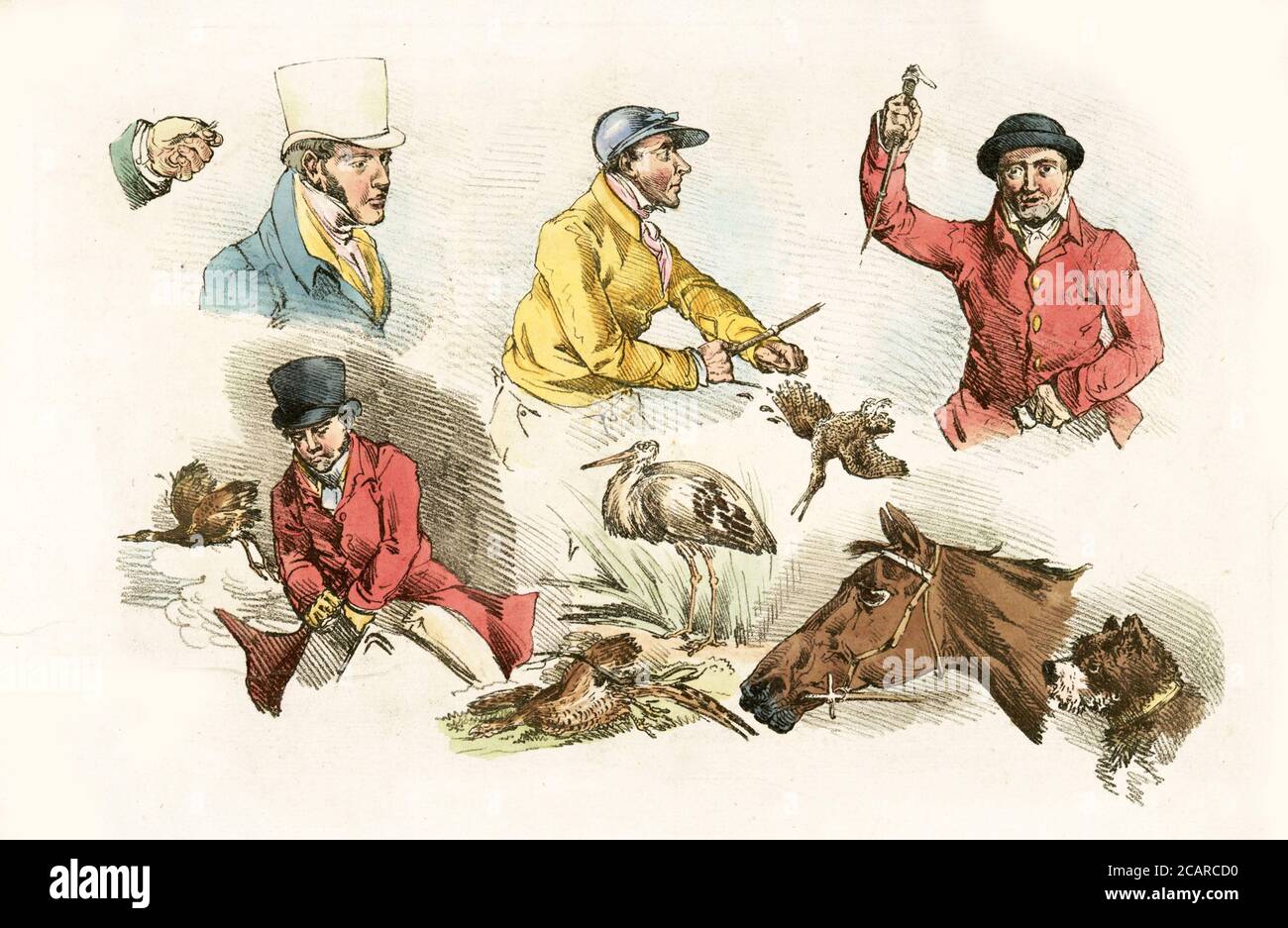 vintage animal illustration vintage classical artistic drawing Stock ...